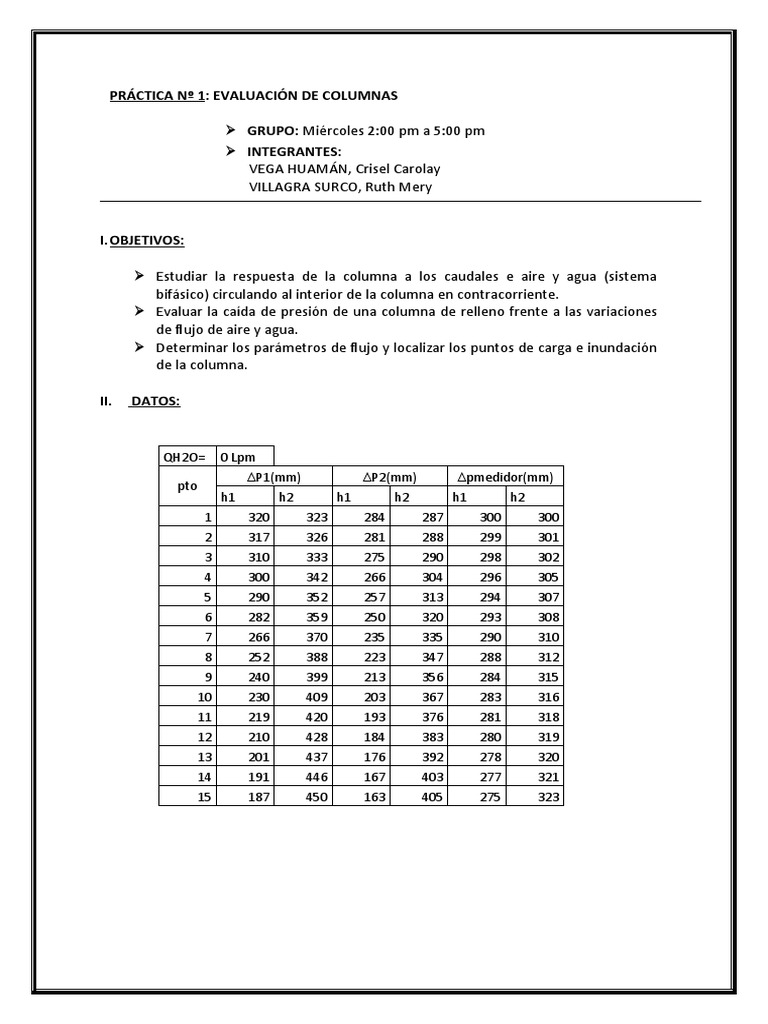 PR Á Ctica N º 1: Evaluación de Columnas | PDF | Líquidos | Destilación