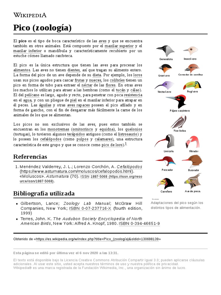 Pico_(zoología) | PDF