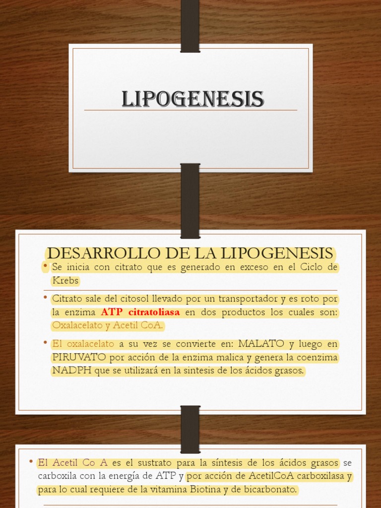 LIPOGENESIS | PDF | Ácido graso | Biosíntesis