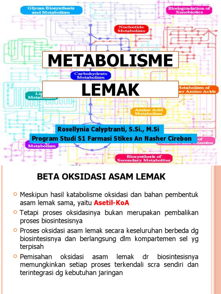 Metabolisme Lemak | PDF