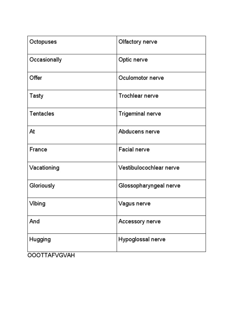 Mnemonic | PDF