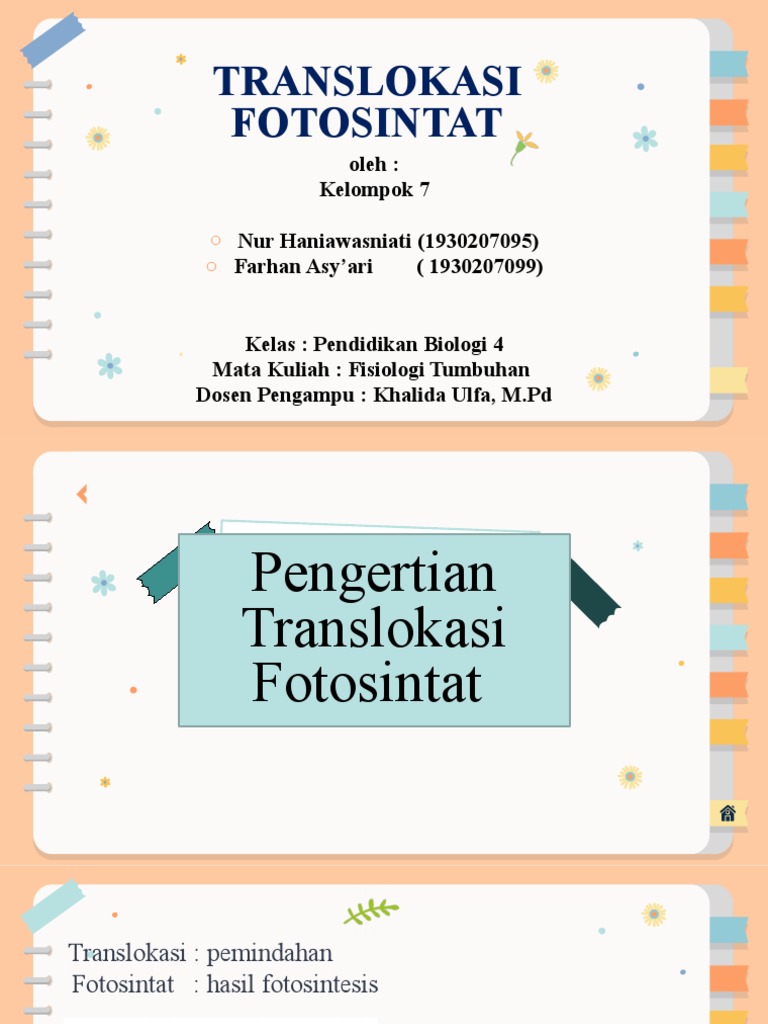 Translokasi Fotosintat PPT Fistum Kel 7 | PDF
