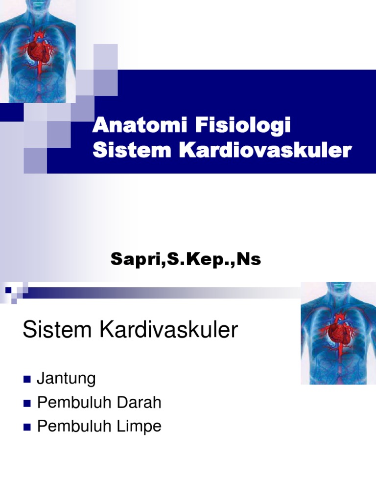 ANATOMI FISIOLOGI SISTEM KARDIOVASKULER | PDF