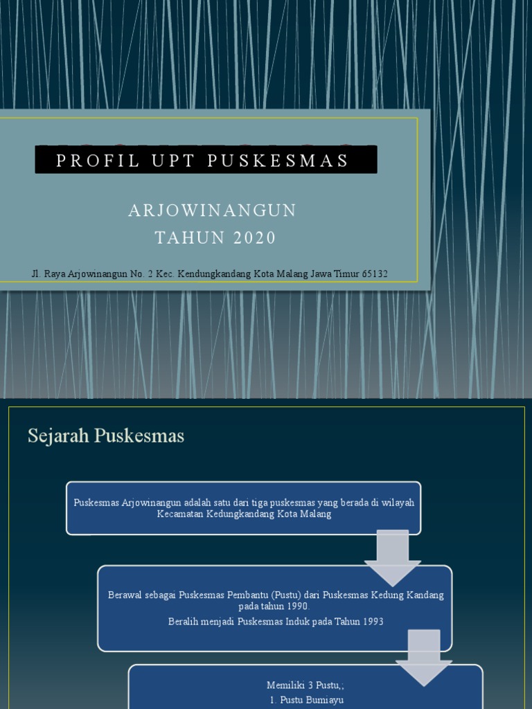 Profil Upt Puskesmas | PDF