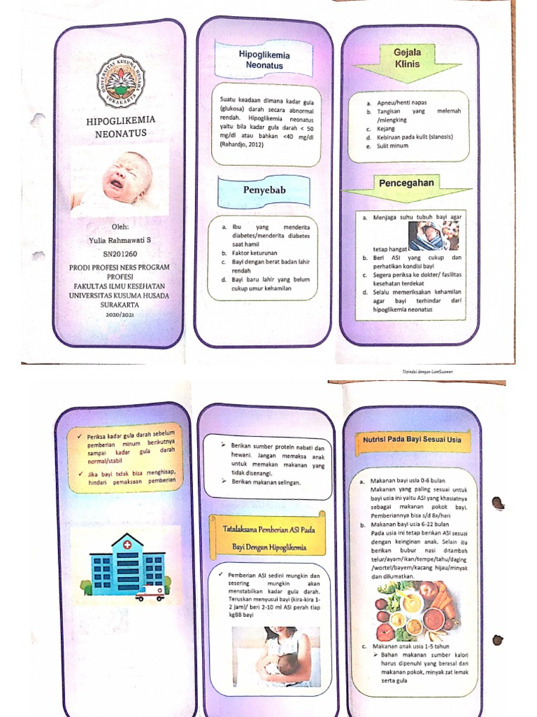 Leaflet Hipoglikemia | PDF