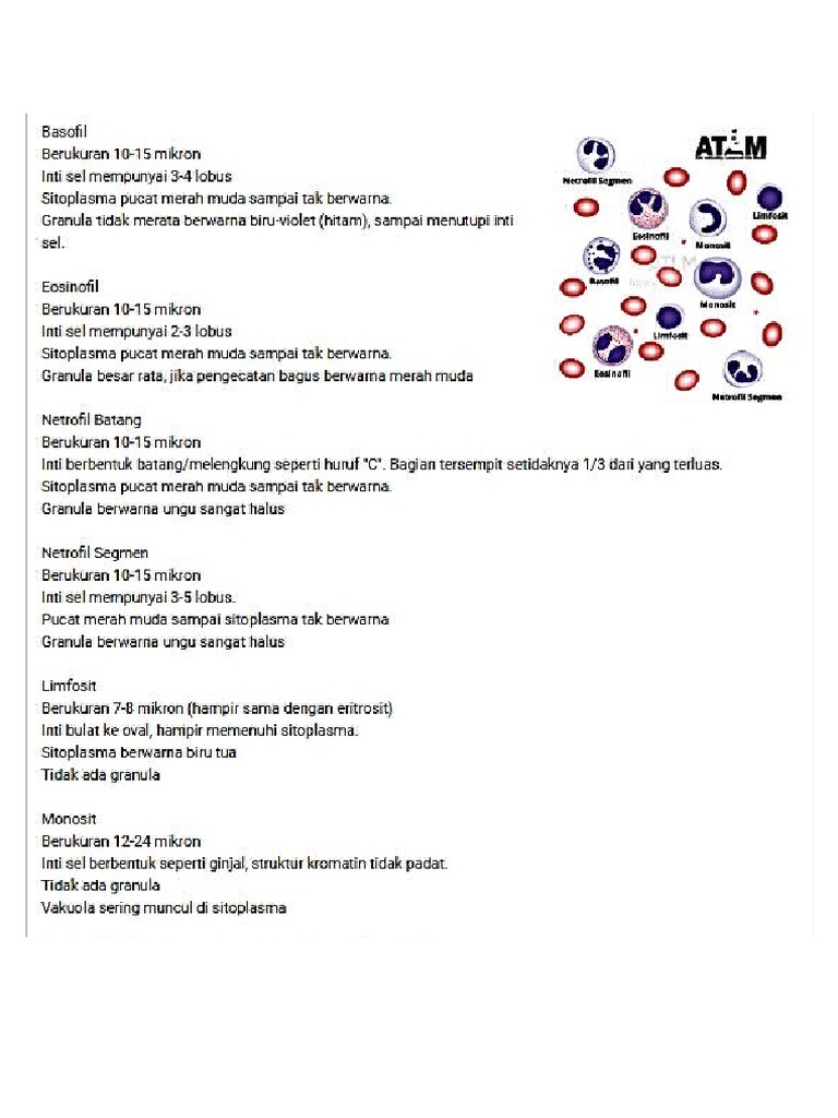 Eritrosit Atau Sel Darah Merah Volume Normal Dalam Darah Sekitar 5 | PDF