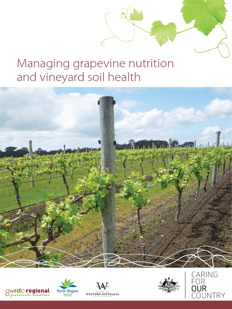 Managing Grapevine Nutrition and Vineyard Soil Health: Perth Region ...