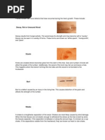 Timber Conversion | PDF | Wood | Lumber