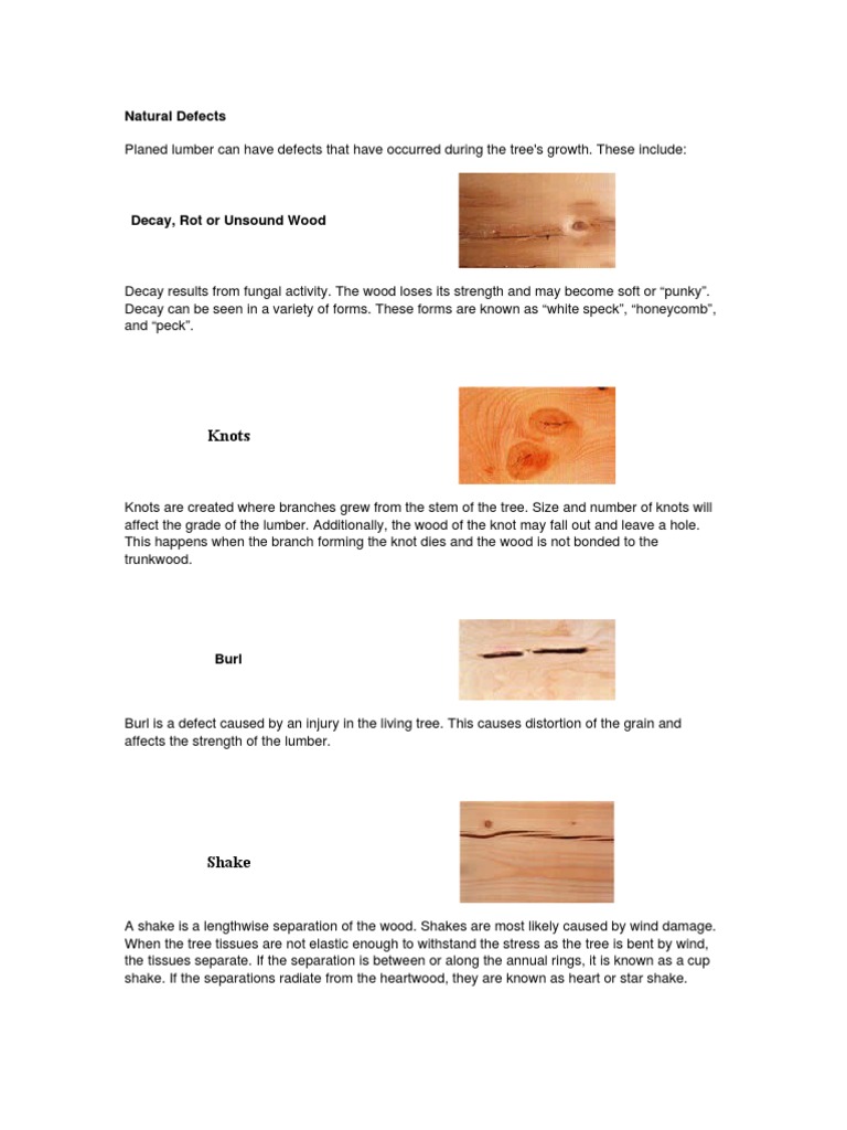 Natural Defects | PDF | Wood | Lumber
