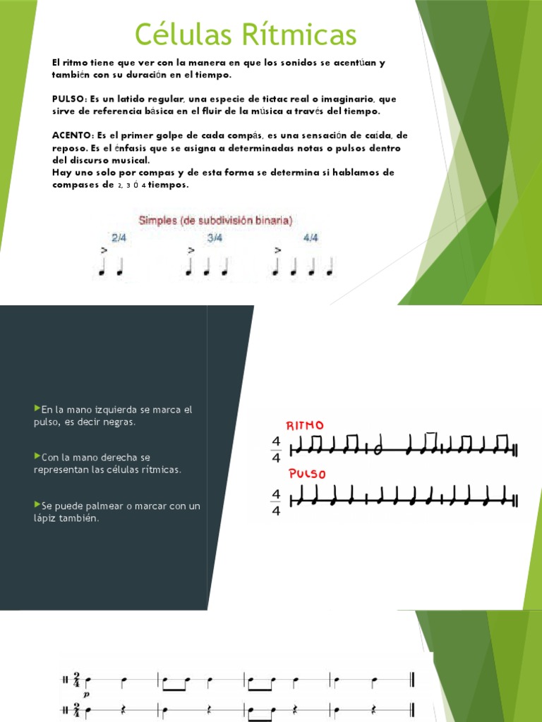 Células Rítmicas | PDF