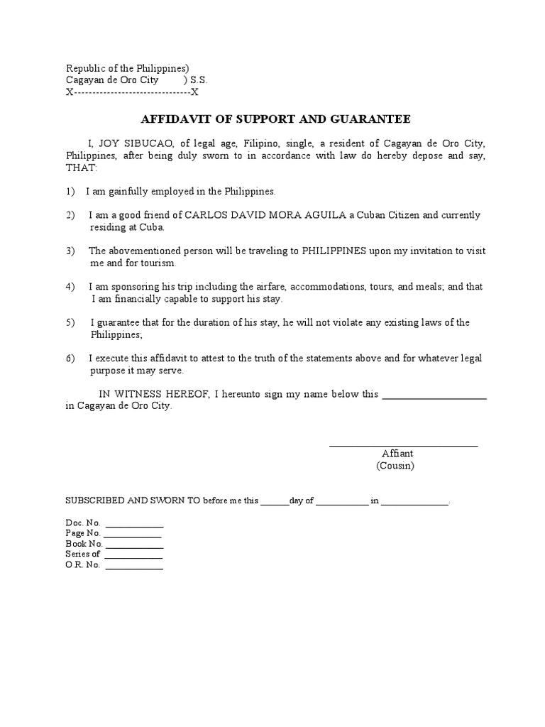 Affidavit of Support and Guarantee | PDF