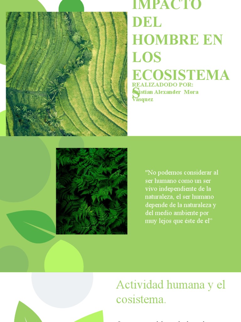 Impacto Del Hombre en Los Ecosistemas | PDF | Entorno natural | Ecología