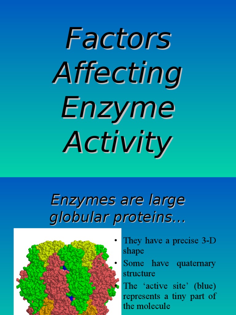 Factors Affecting Enzyme Activity | PDF | Enzyme Inhibitor | Active Site