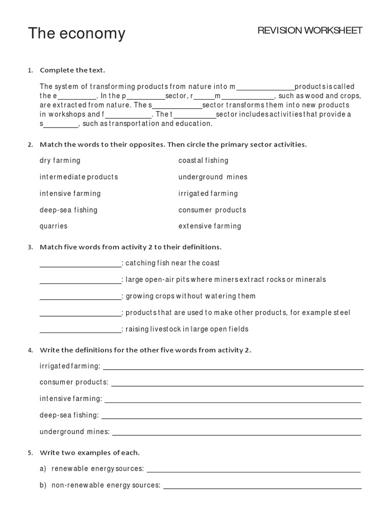 The Economy: Revision Worksheet | PDF | Intensive Farming | Energy ...