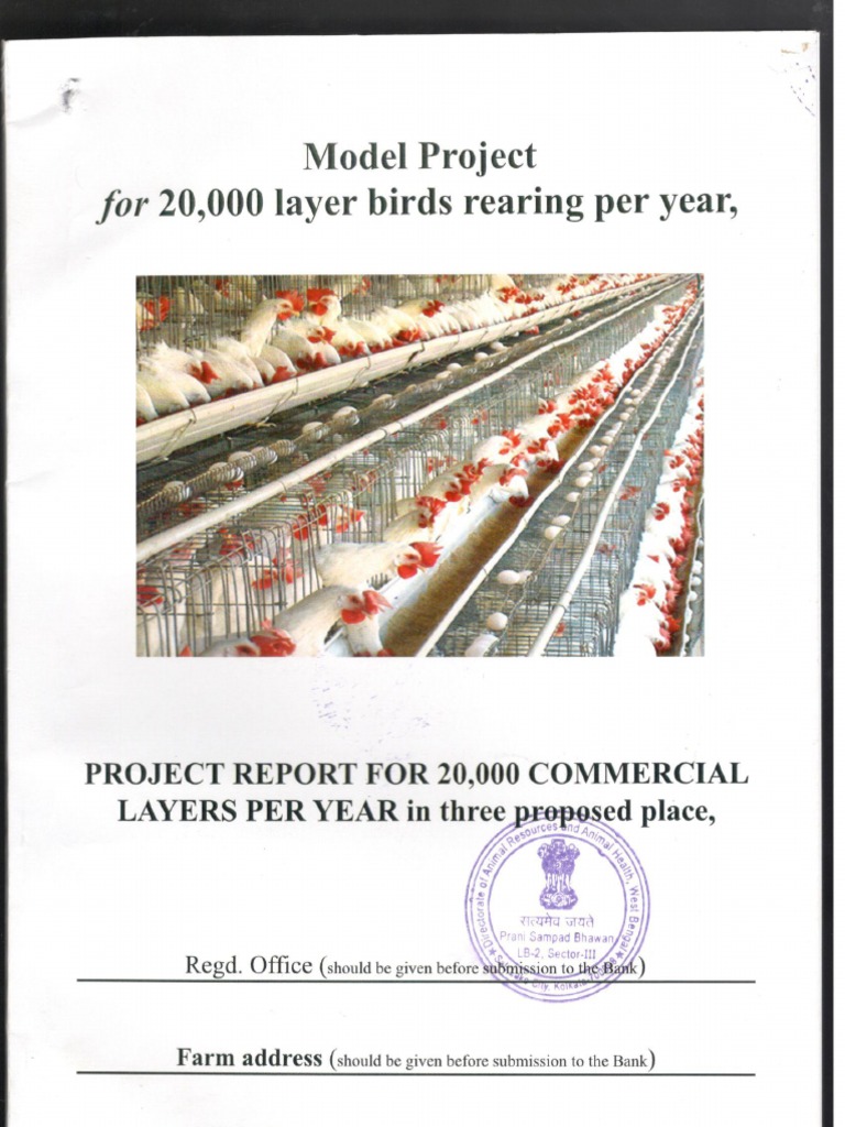 Model Project Report For 20000 Layer Bird Rearing Per Year | PDF