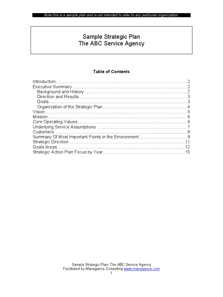 Strategic Plan for ABC Service Agency | PDF | Disability | Employment