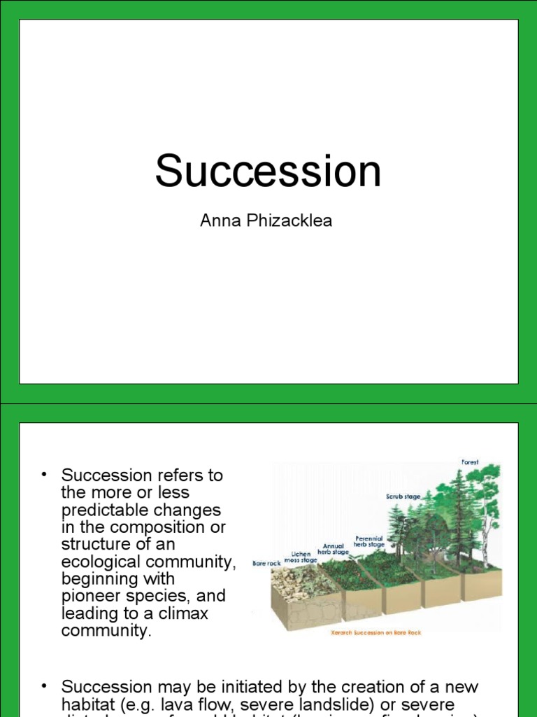 Biology - Succession Presentation | PDF | Ecosystem | Biology