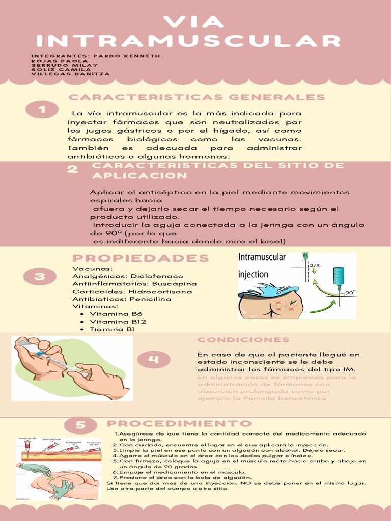 Via Intramuscular | PDF | Inyección (medicina) | Medicamentos con receta