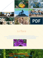 Flora Y Fauna De Tlaxcala Pdf Arboles