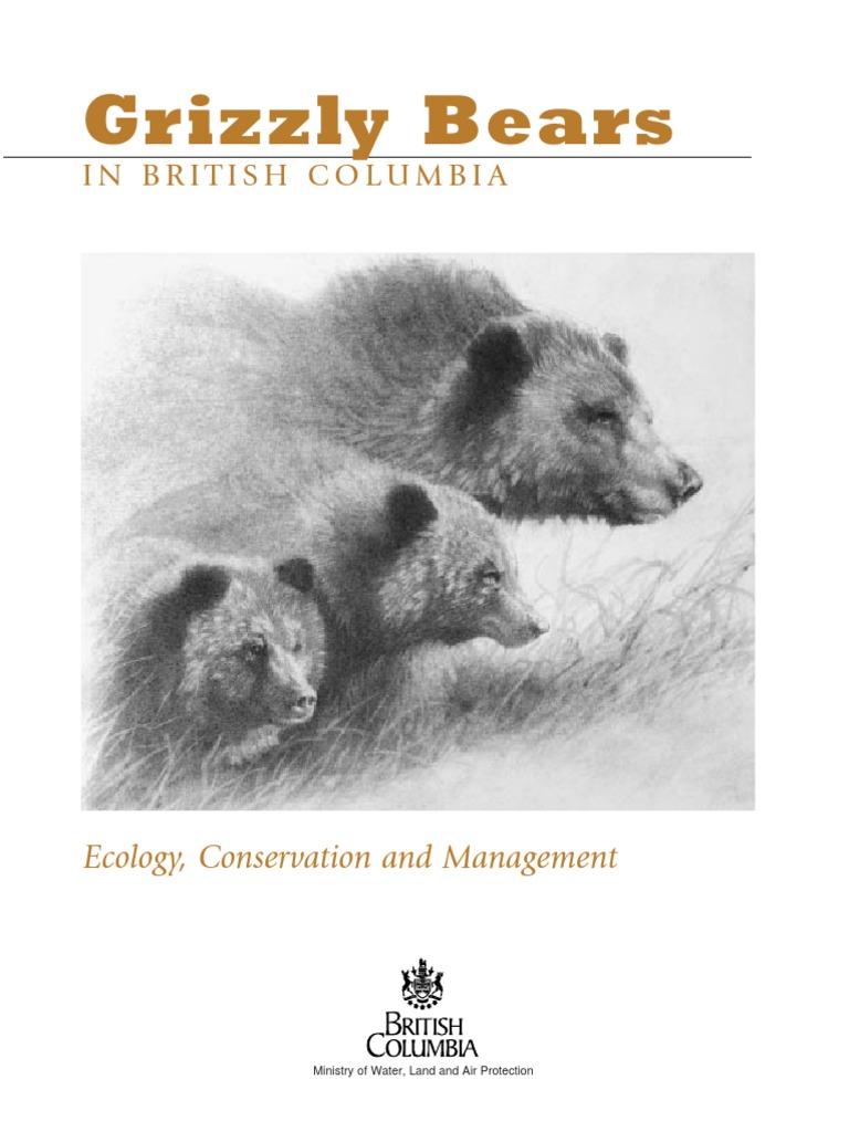 Grizzly Bears: in British Columbia | Download Free PDF | Grizzly Bear ...