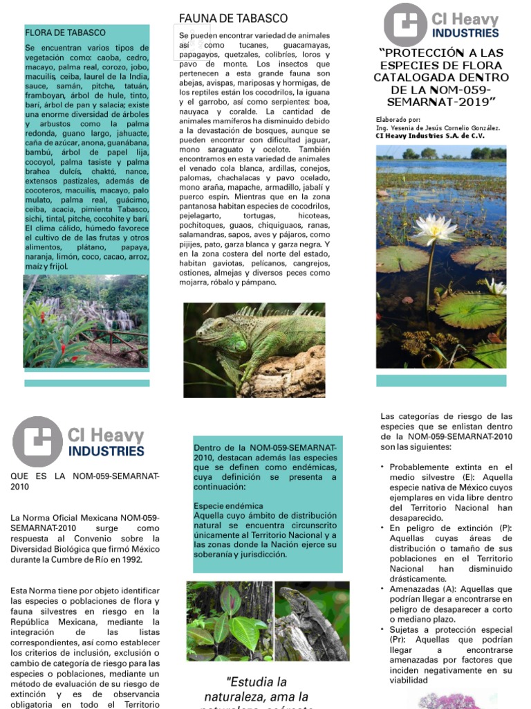 Nom 059 Semarnat 2010 | PDF