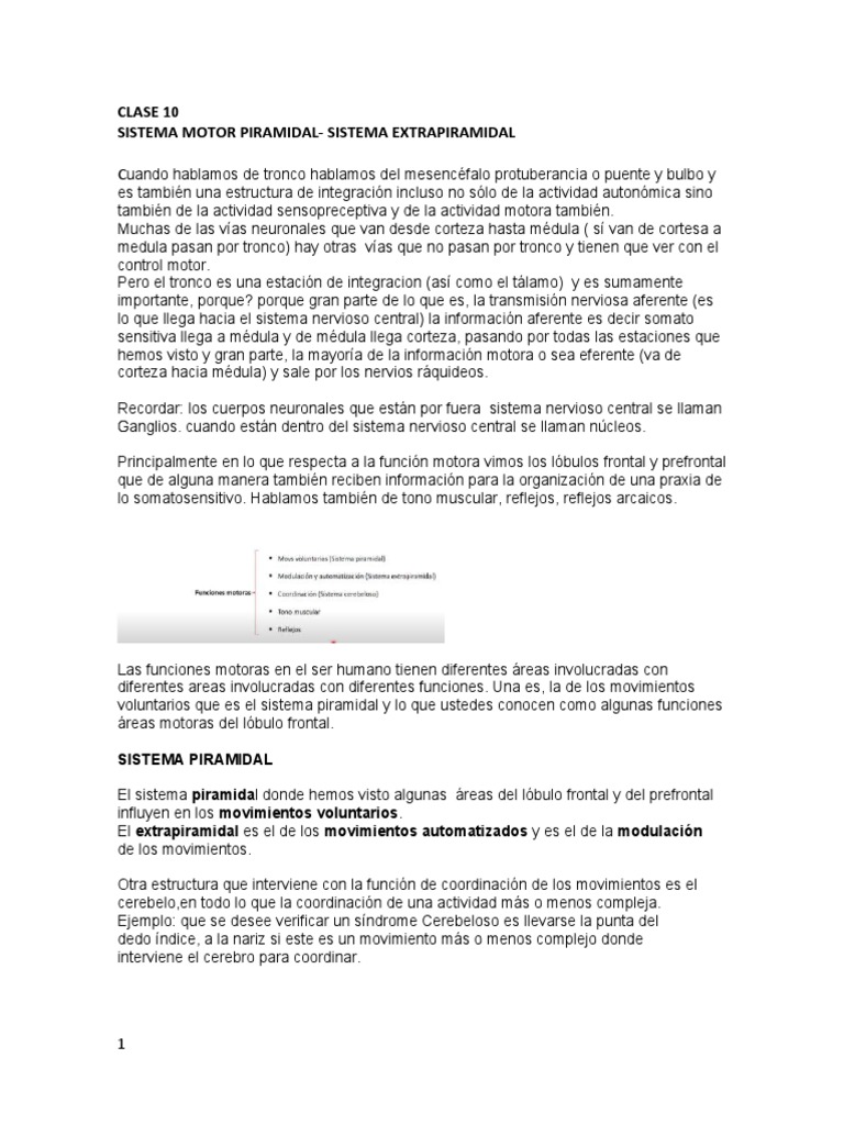 Sistema Piramidal y Extrapiramidal | PDF | Sistema nervioso central ...
