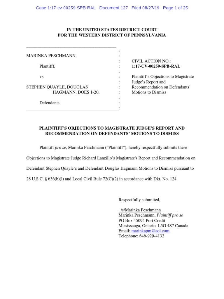 Marinka Peschmann's Objections To Judge Richard Lanzillo ...
