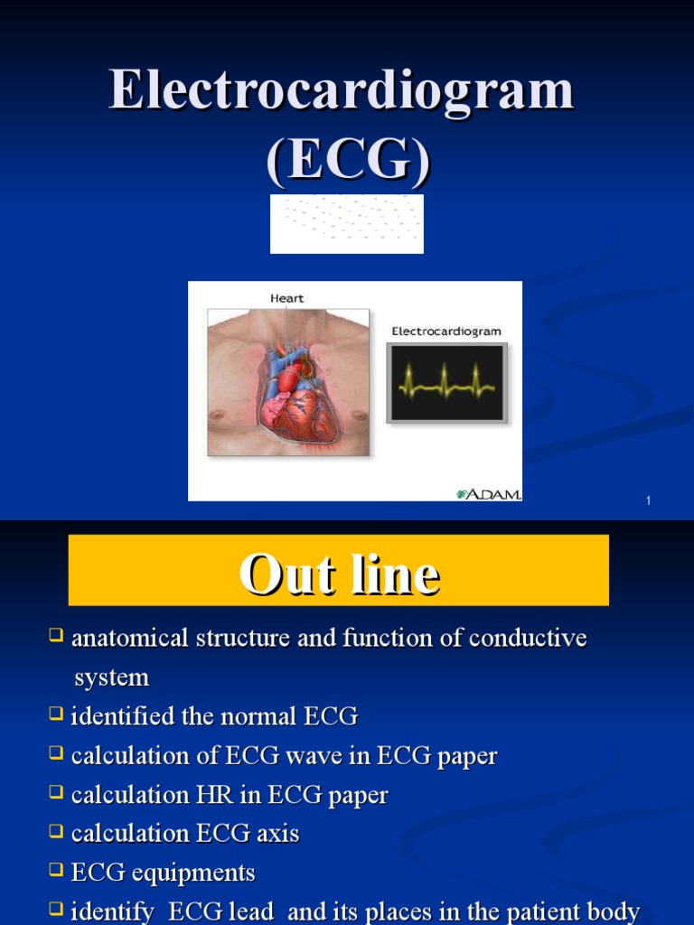 Electrocardiogram | PDF | Electrocardiography | Thorax (Human Anatomy)