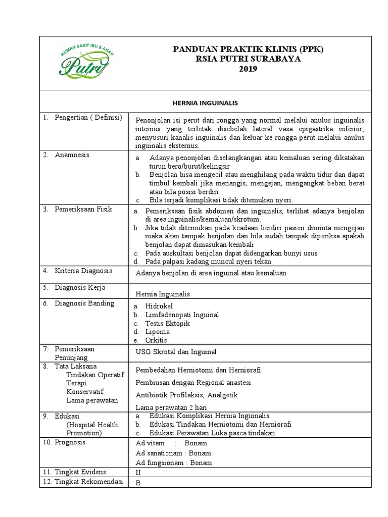 PPK Hernia | PDF