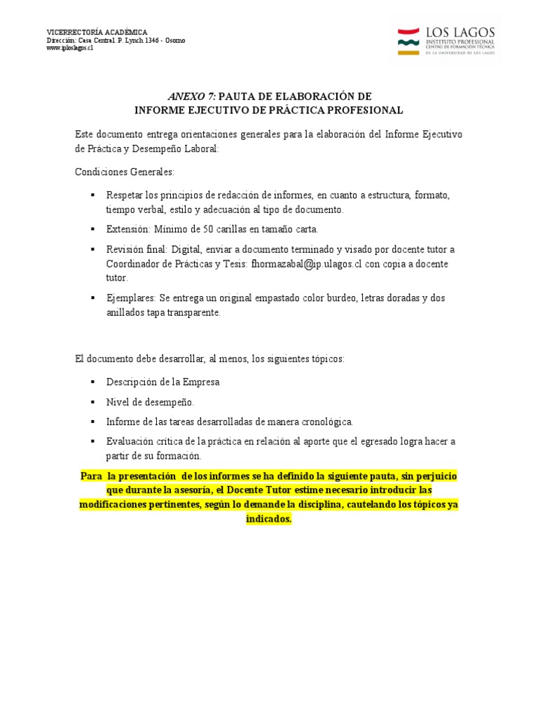 Pauta Informe Convalidacion-Practica | PDF | Citación | Evaluación