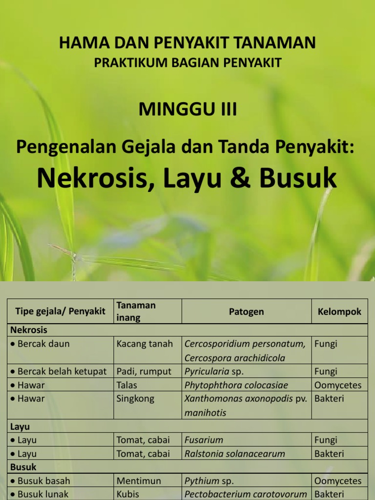 03-Prakt HPT d3ppp Minggu Ke-3 | PDF | Sains & Matematika