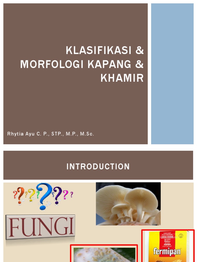 Klasifikasi & Morfologi Kapang & Khamir | PDF | Kesehatan Holistik ...