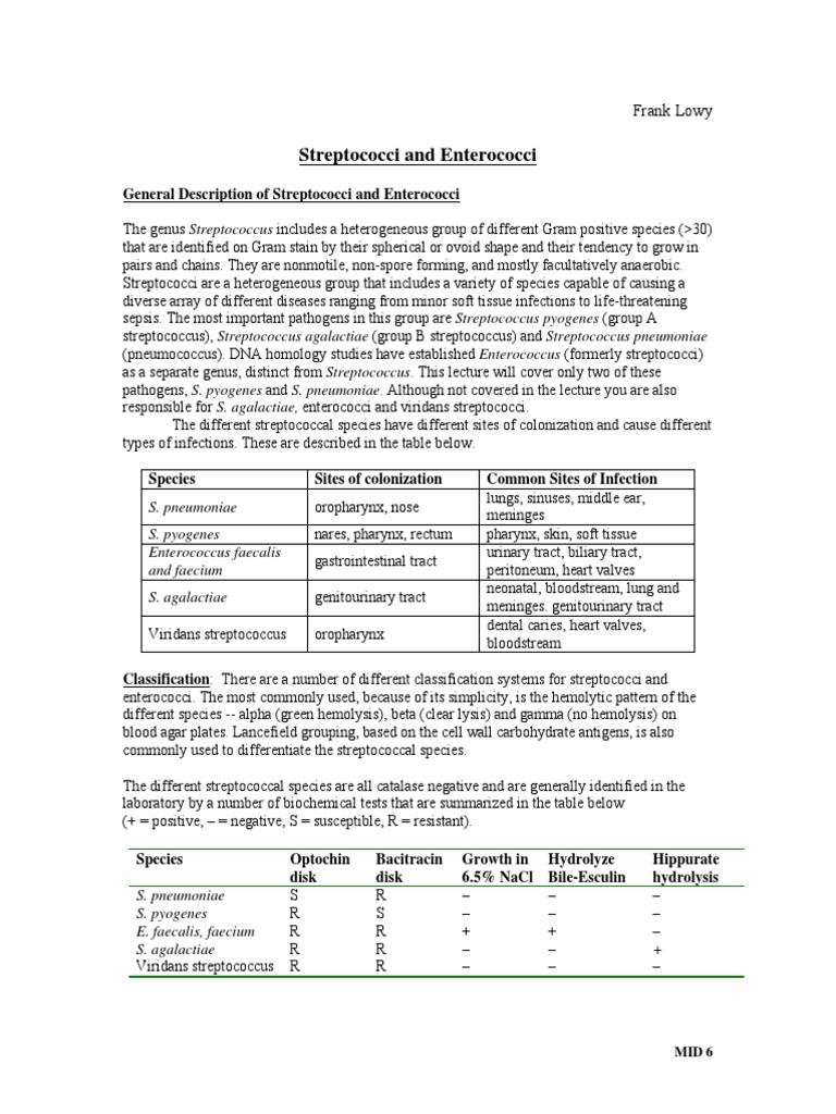 Streptococci and Enterococci | PDF | Streptococcus | Infection