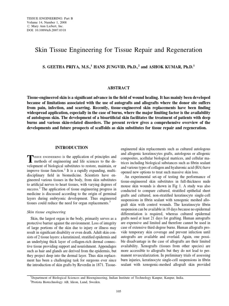 Tissue Engineering Of Skin Download Free Pdf Tissue Engineering
