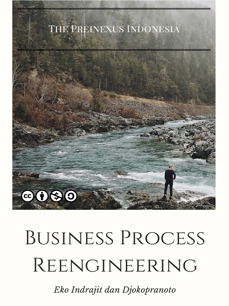 Business Process Reengineering | PDF