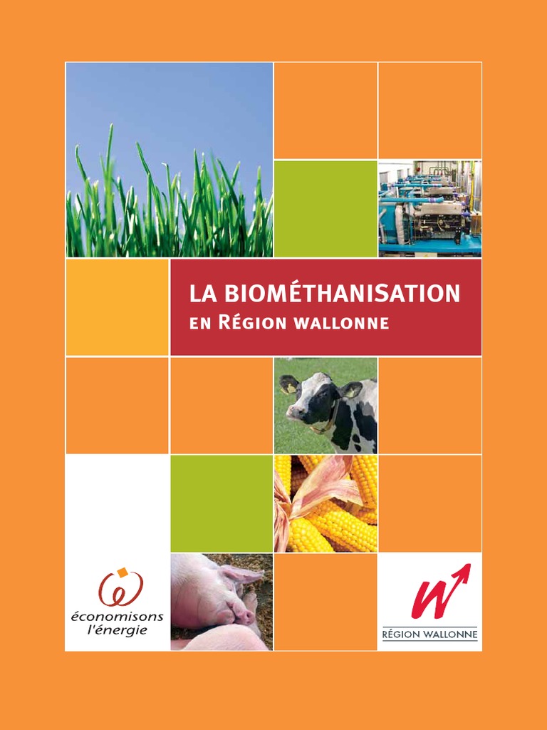 Biomethanisation 06 | PDF | Méthanisation | Biogaz