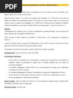 Le Texte Descriptif | PDF