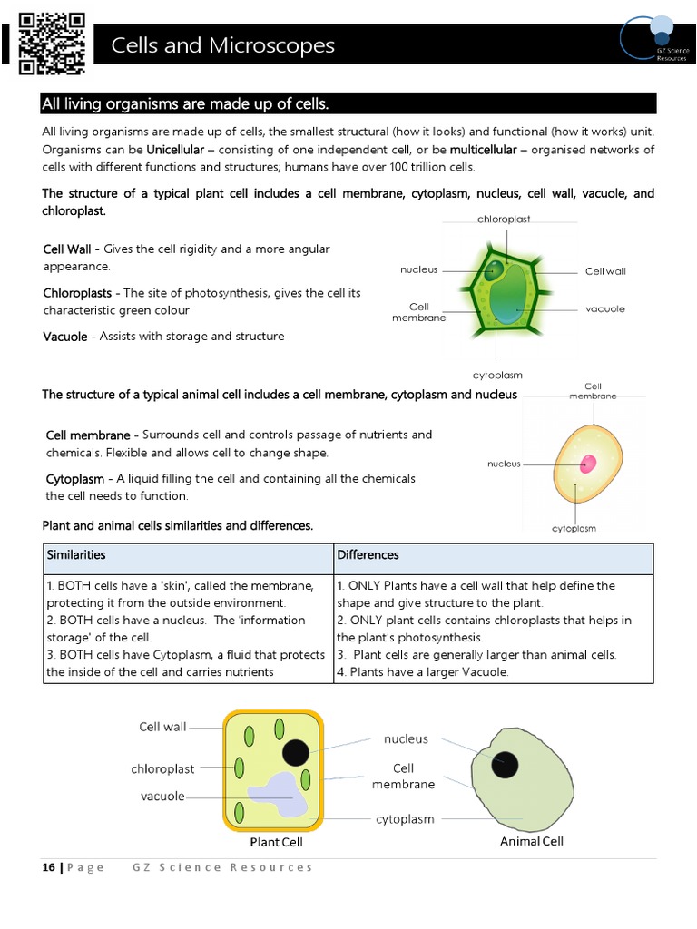 Cells Science Year 9 GZ | PDF | Cell (Biology) | Vacuole