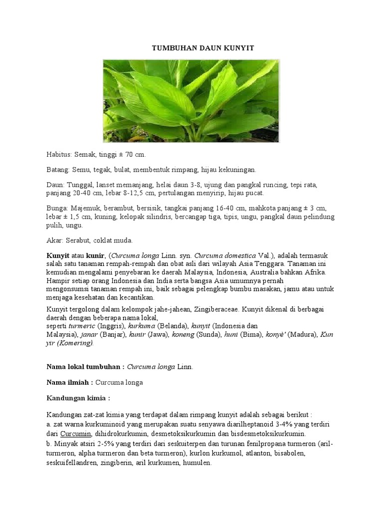 Tumbuhan Daun Kunyit | PDF | Kesehatan Holistik | Teknologi & Rekayasa