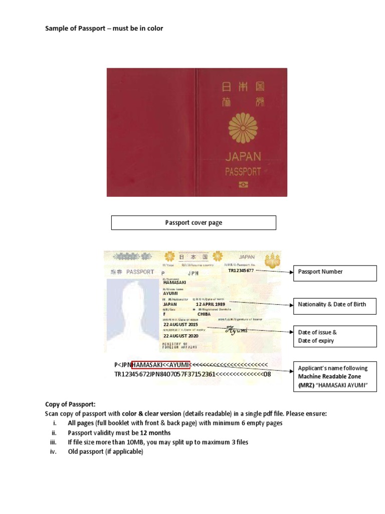 Sample Passport and Employment Pass Documents with Instructions for ...