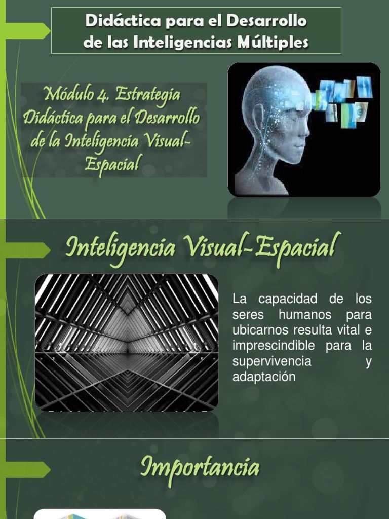 Desarrolla tu Inteligencia Visual-Espacial | PDF | Inteligencia | Dibujo