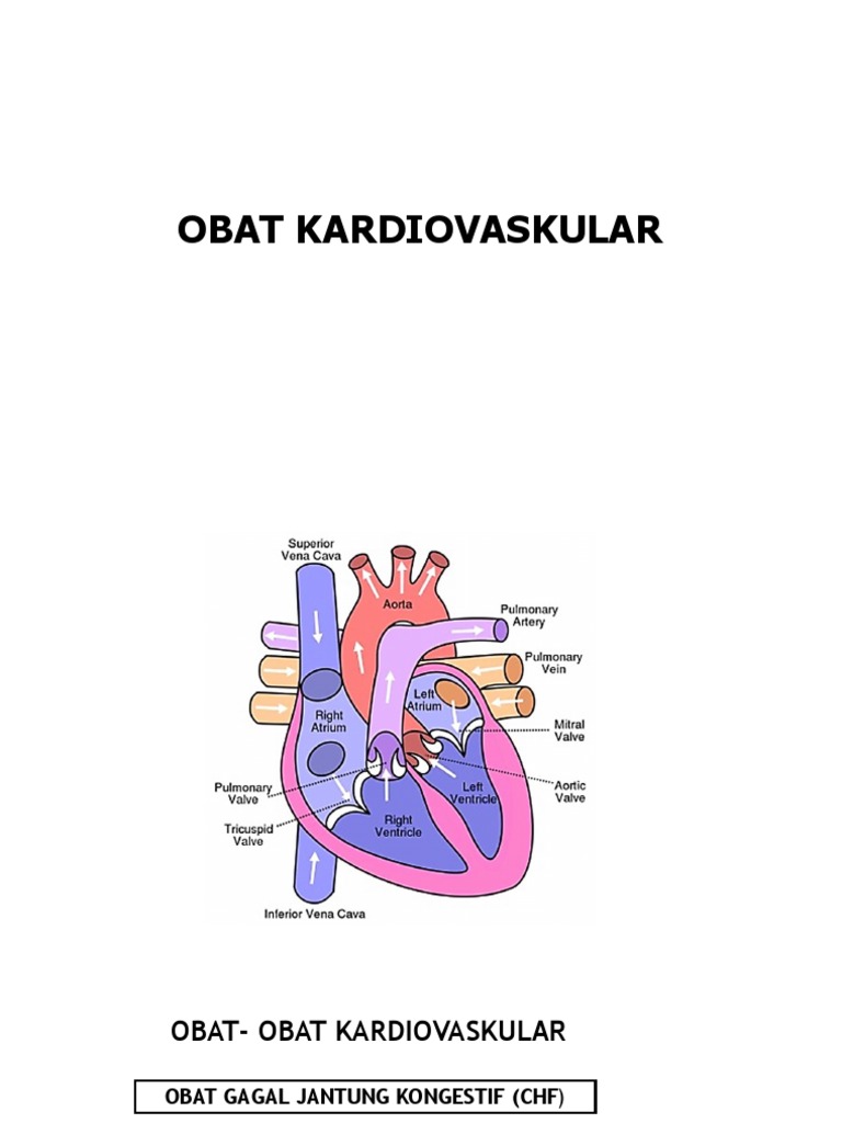 Obat Kardiovaskular | PDF