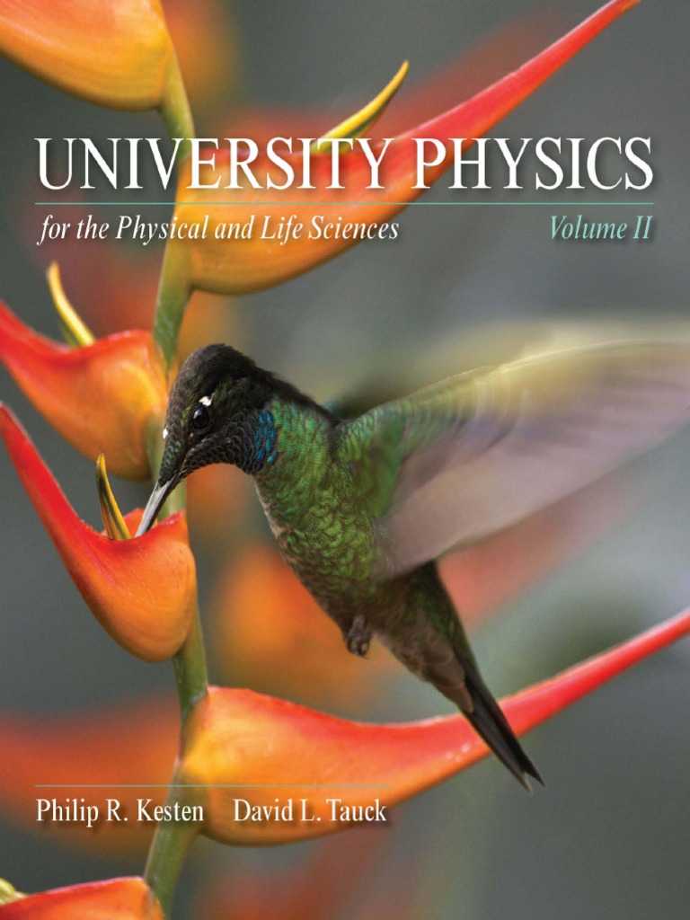 PHIL University Physics For The Physical and Life Sciences Volume 2 PDF ...