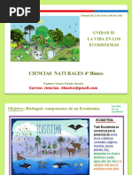 Cambios en Los Animales | PDF
