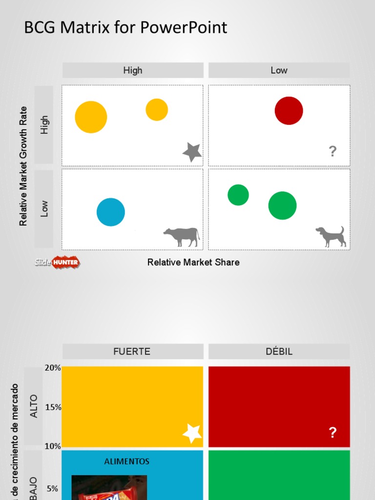 Bgc-Matrix Modelo | PDF