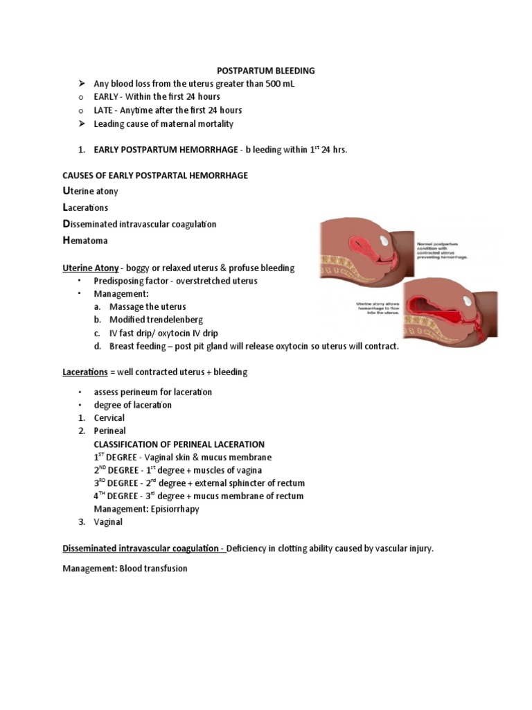 Postpartum Hemorrhage Handout | PDF | Bleeding | Uterus