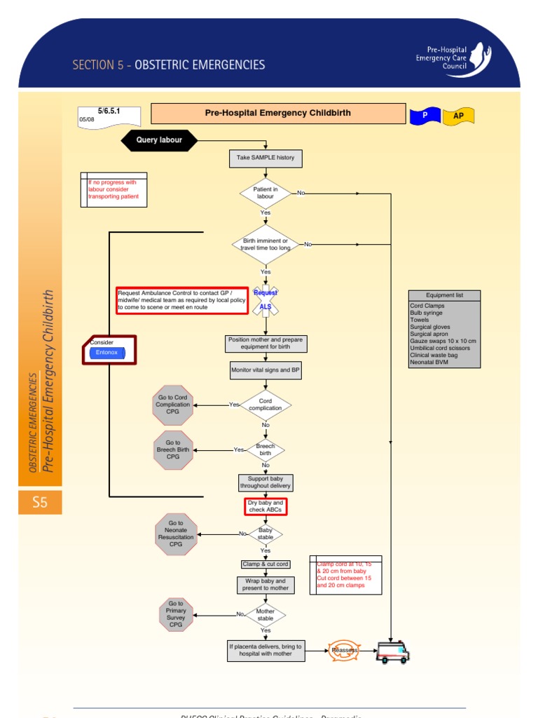 P Section 5 Obstetric Emergencies | PDF | Childbirth | Obstetrics