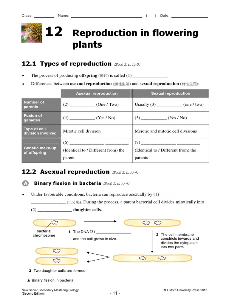 Asexual and Sexual Reproduction in Flowering Plants: A Comprehensive ...