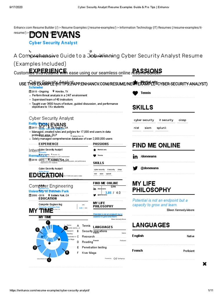 Cyber Security Analyst Resume Examples Guide & Pro Tips - Enhancv | PDF ...