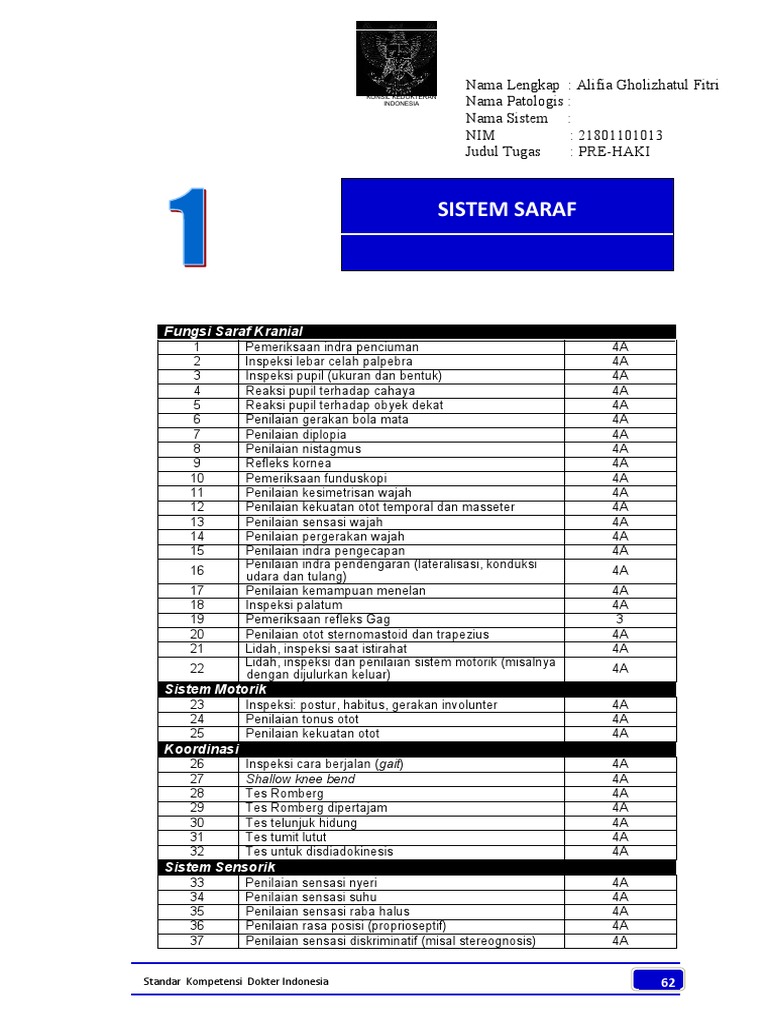 Print 1 Skdi Cover Aja | PDF